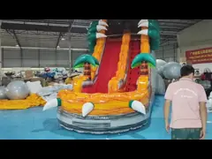 New Design Commercial Giant Waterslide Jumping Castle Bouncy Castle Bounce House Water Slides
