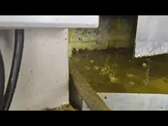 corn oil press