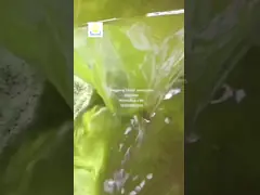 sunflower seed oil press machine