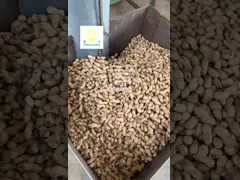 agriculture machinery oil press