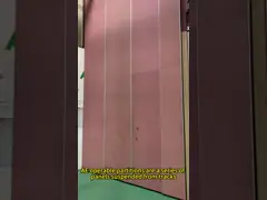 AE Cheap Wholesale Decorative Smoothly Folding Sliding Partition Movable Soundproof Partition Walls