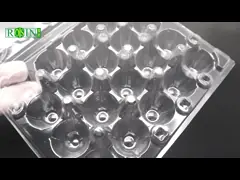 PLASTIC CLEAR DISPOSABLE QUAIL EGG TRAY