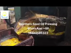 cold pressed oil extractor