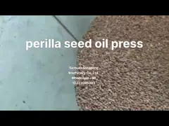 oil press processing castor oil extraction machine