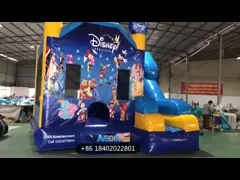 China Commercial Inflatable Water Bounce Slide Jumper Elsa Bounce House Slide With slide for sale
