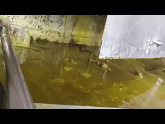 cold press  groundnut oil mill coconut oil pressing machine