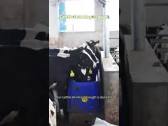 120L/min Flow Rate Resistant Polyethylene Cow Drinking Water Trough