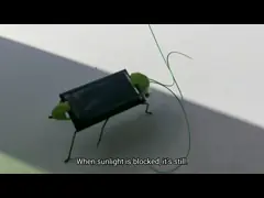 中国 アブスグリーンベビーおもちゃソーラーパワー昆虫おもちゃアウトドアキッズラーニングソーラーバッタ 販売のため