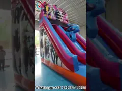 Commericial Inflatable Slide Inflatable Single Dry Slides
