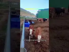 China 50L/min Temperature Controlled Cattle Water Trough with 450mm Drinking Height for sale