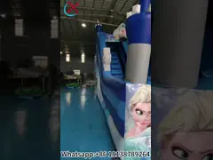 Commericial Inflatable Slide The Frozen Inflatable Single Dry Slides