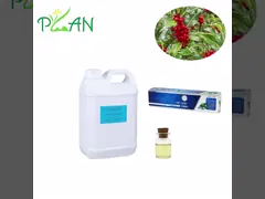 Long-Lasting Fragrance Holly Fragrance Essence Oil for Toothpaste Making