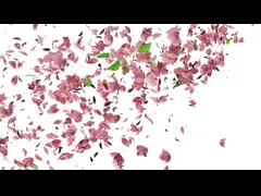 China Y11 SmartWatch Magnetic Charging BT Call Smart Watch With Heart Rate Monitor for sale