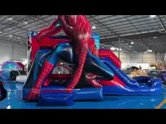 L‘ homme de l‘ araignée