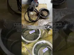 Морские нефтегазовые уплотнители Судно Гидравлическая стальная люк крышка цилиндр Ремонт уплотнитель комплект