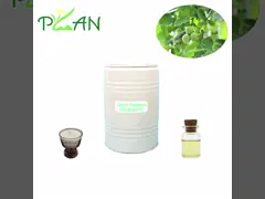 China Light And Refreshing Candle Fragrances Walnut Wood Fragrance Essence Oil for sale