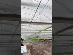 China Baolida High Tunnel Plastic Film Multi Span Tropical Green House Siding Vent Agriculture Greenhouse with Shading System for sale