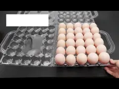 plastic egg tray with handle