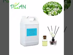 China Long Lasting Aromatherapy Fragrances Oil Jasmine Essence Oils for sale