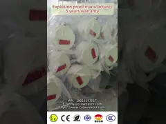 Explosion-proof Flameproof LED linear Fluorescent lamp lighting fixture