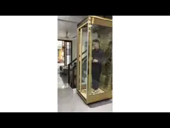 Hydraulic Naked Cabin Home Elevator for Viet Nam Market