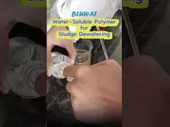Water-Soluble Polymer for Sludge Dewatering Water Treatment Additives