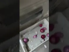 China Spring Onion Peeling Washing Machine Onion Skin Removing Machine Small Onion Peeling Machine Machine For Peeling Onion for sale