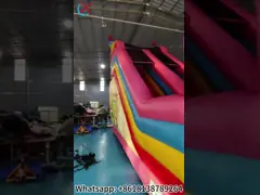 Inflatable Bouncy House With Slide Combos Bugs Inflatable Jumping Castle