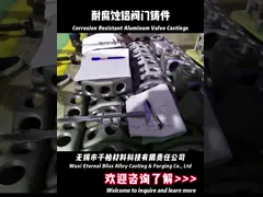 China Zinc Alloy Die Casting Camera Housing for Cars Steel Material with Spray Polishing Processing Accessories for sale