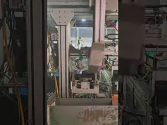 Polishing machine for two sides of pliers