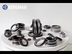 CAR CER Mechanical Seal Burgman MG1 12mm Bellows Water Pump Seals