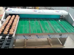 China Egg Sorter Machine Egg Grading Machine Egg Weight Grading Machine for sale