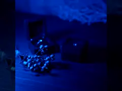 China PU Leather Fabric Gold Ring Packaging Box Customized With Statin Lining for sale