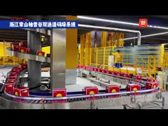 Automatic Dual Channel Gantry Beverage Palletizer Machine 150carton/Minute ODM