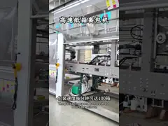 220V Side Push Wrap Around Cartoner Packer Machine 1000L/Min