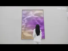 China BYD 2025 Dolphin Knight Edition Electric Vehicle with 520km Range and Advanced Safety Features for sale