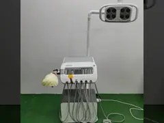 dental training model simulator head dental school dental simulation phantom head