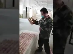 Cina Macchina di sollevamento a vuoto a manico singolo 30 uova per l'aspirazione di uova in vendita