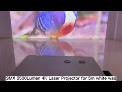 China 360° Projection Home Laser Projector Cinema Projector 4k For Large Venues for sale