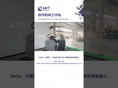 Mobile Robot Palletizer