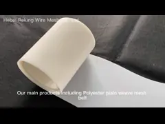 polyester plain weave square hole mesh belt