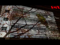 プロフェッショナル 20000 ルメン 3LCDレーザープロジェクター 3Dマッピング大場投影