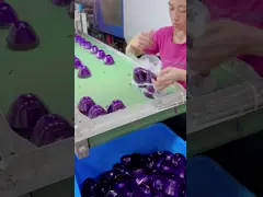 Purple 89 teeth 40g wide mouth bottle embryo