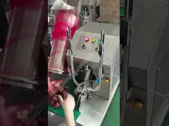 China Net Clipper Packing Machine Citrus Net Bag Packing Machine Vegetables Packing Net Bag Machine for sale