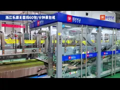 High Speed Wrap Around Case Packer Cartoner Equipment 380V
