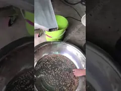 China Coffee Beans Grading Machine Sieve Size Linear Vibrating Screen Separating Machine for sale