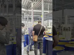 Egypt customer inspection