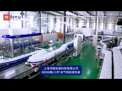 SUS304 Sistema di trasporto di bottiglie in borsa