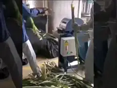 China Banana Fiber Extractor Decorticator Banana Fiber Extraction Machine Banana Tree Fiber Extraction Machine for sale