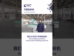 Automatic flat labeling machine